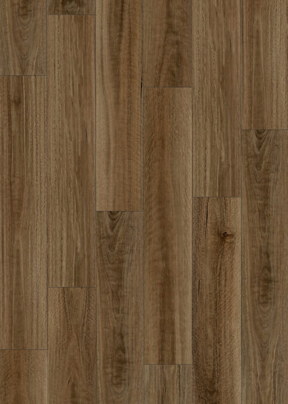 QLD SPOTTED GUM – Austland